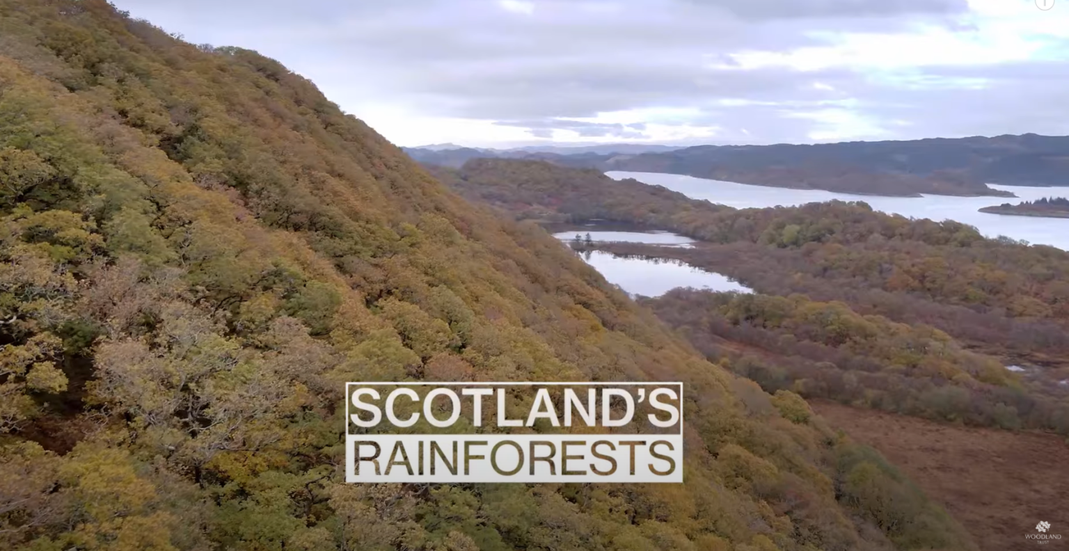Scotland's Rainforest Film - Future Woodlands Scotland