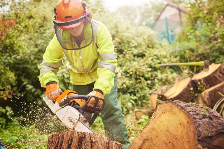 Forestry Skills Programme | Future Woodlands Scotland