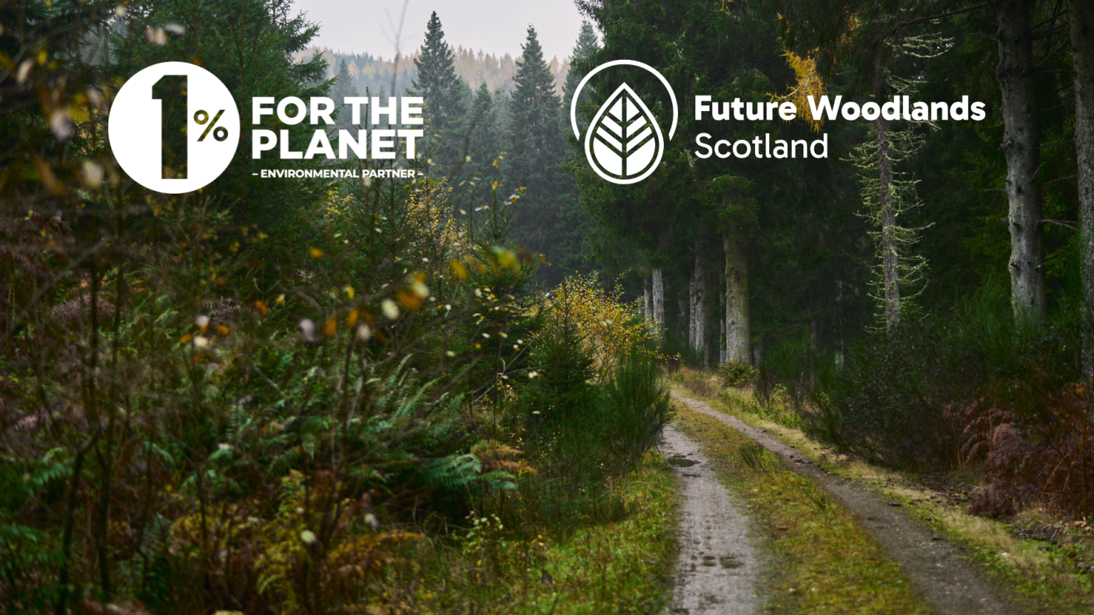 Future Woodlands Scotland joins 1% for the Planet to grow woodland ...